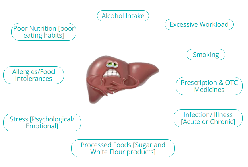 Why do we need Liver Protection ? - Dr. Akanand Singh | The Best ...